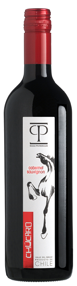 CASAS PATRONALES | CHILE