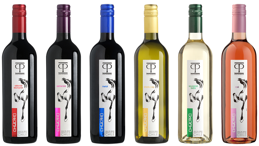 CASAS PATRONALES | CHILE